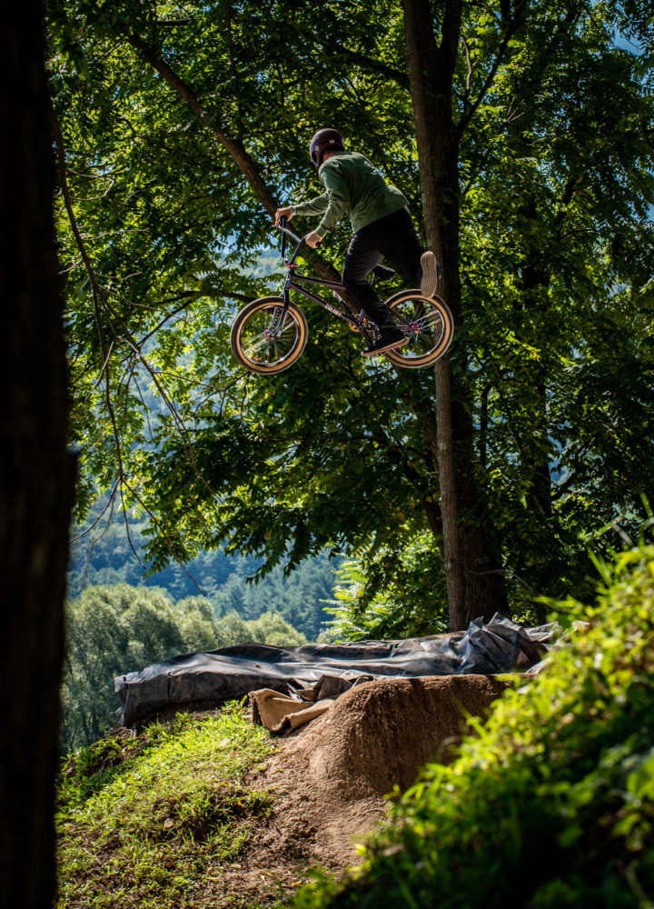 Anthony Napolitan’s Woodward Week…